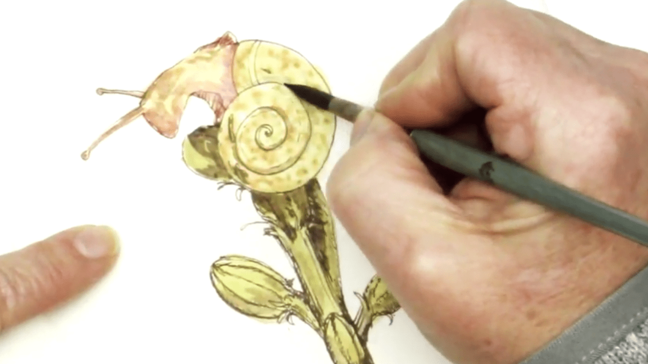 snail on plant – Deliberately Creative